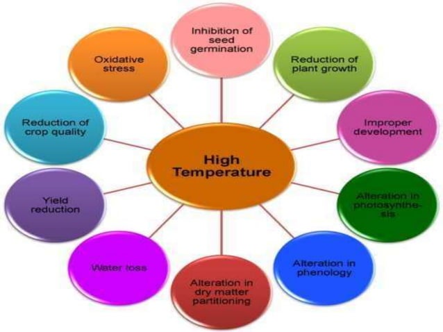 Heat tolerance in plants-The next generation breeding approaches | PPTX