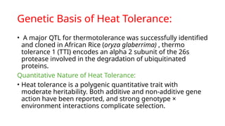 Detailed explanation about heat tolerance in rice.pptx