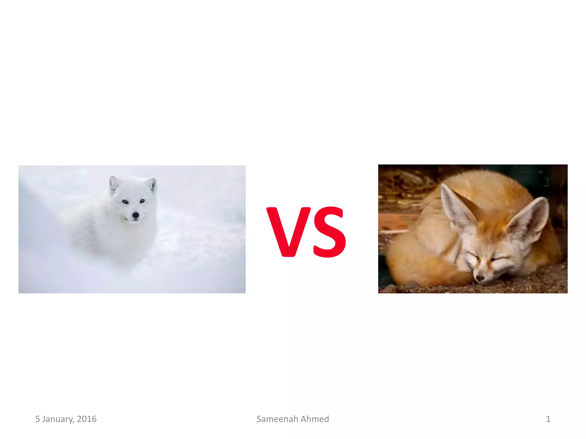Heat transfer (arctic & fennec fox) | PPT