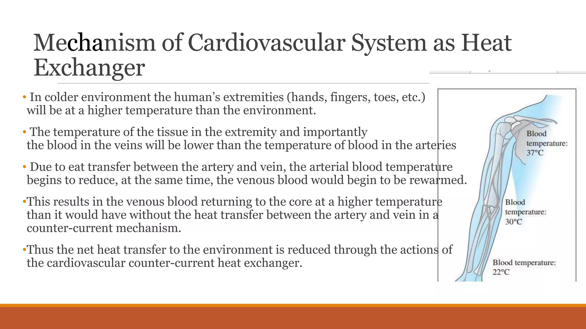 Heat transfer in human body | PPTX