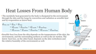 Heat transfer in human body | PPT