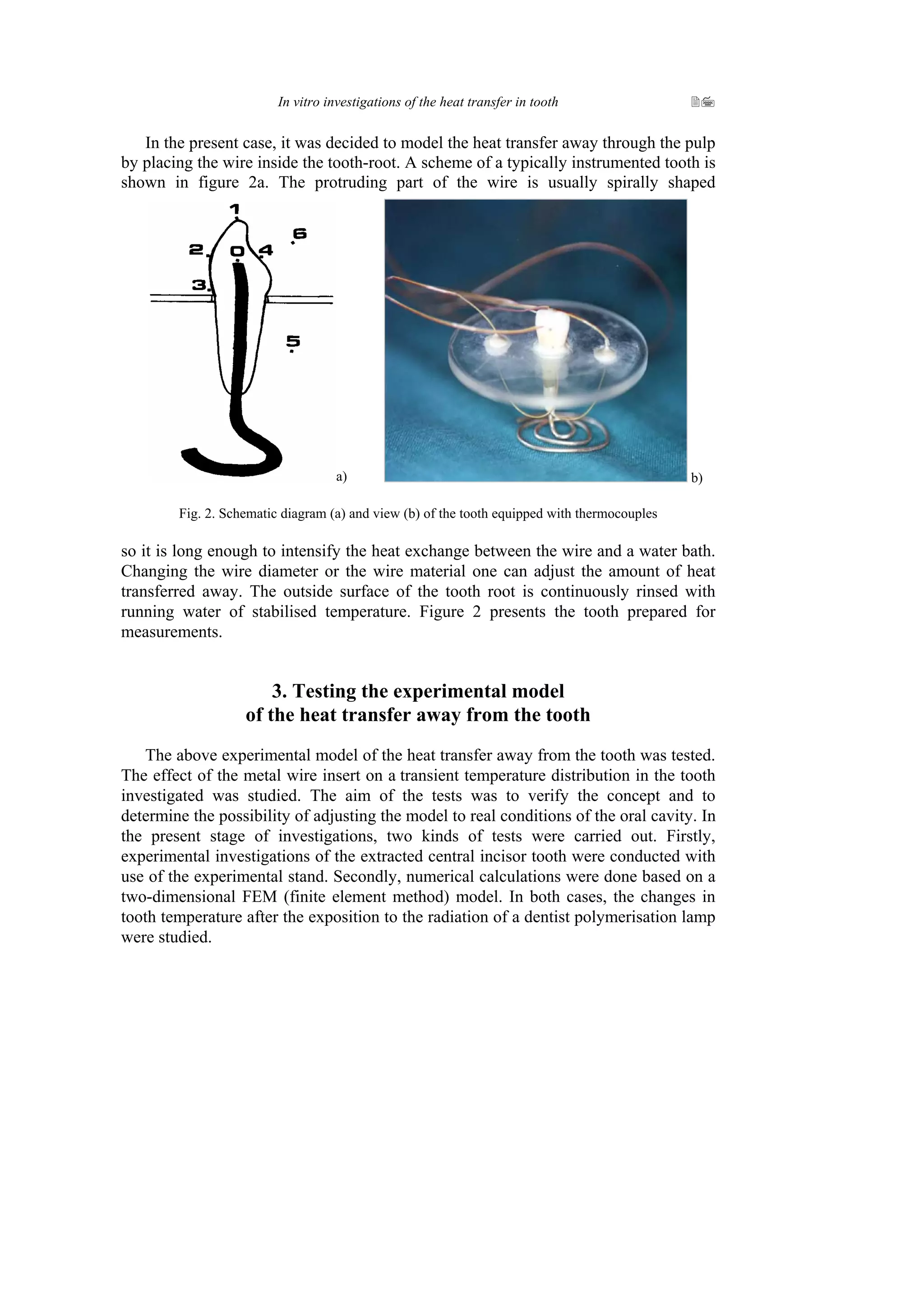 Heat transfer in human tooth | PDF