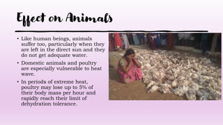 Heat wave | PDF