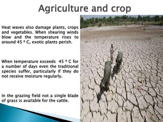 Heat waves and their management tam 2013-05 | PPTX