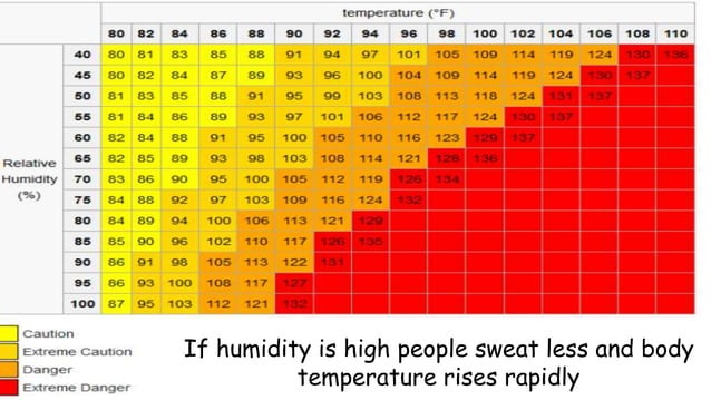 Why Heat Wave Occurs and Cause of Extreme Weather (Changes in Jet Strem)