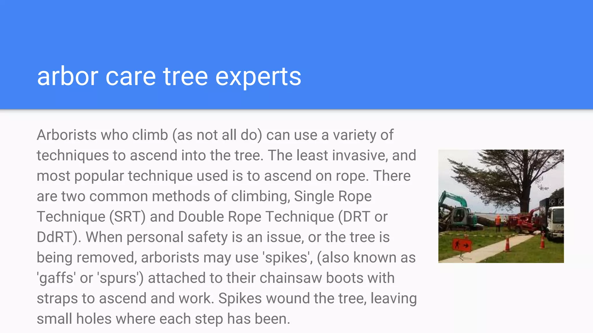 Heavenly Arbor Care | PPTX