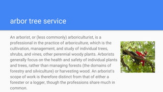 Heavenly Arbor Care | PPT