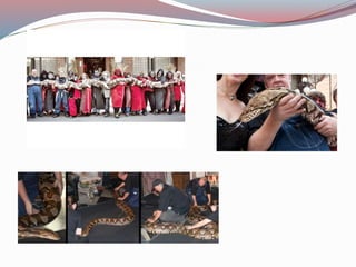 Heaviest aircraft pulled by a man | PPTX