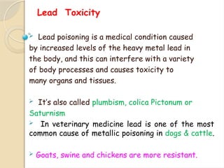 Heavy-Metal-Toxicity-Lead.pptx download . | PPTX