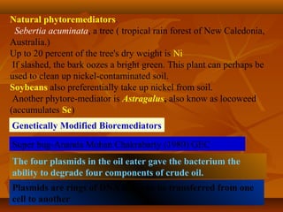 Soilpollution with special reference to heavy metal toxicity and ...