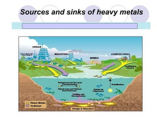 THE HEALTH RISKS OF HIDDEN HEAVY METALS | PPT