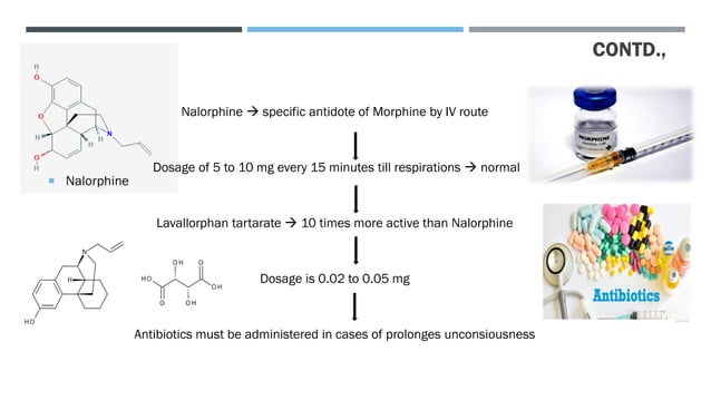 Heavy metal poisoning | PDF | Digestive Disorders | Diseases and Conditions