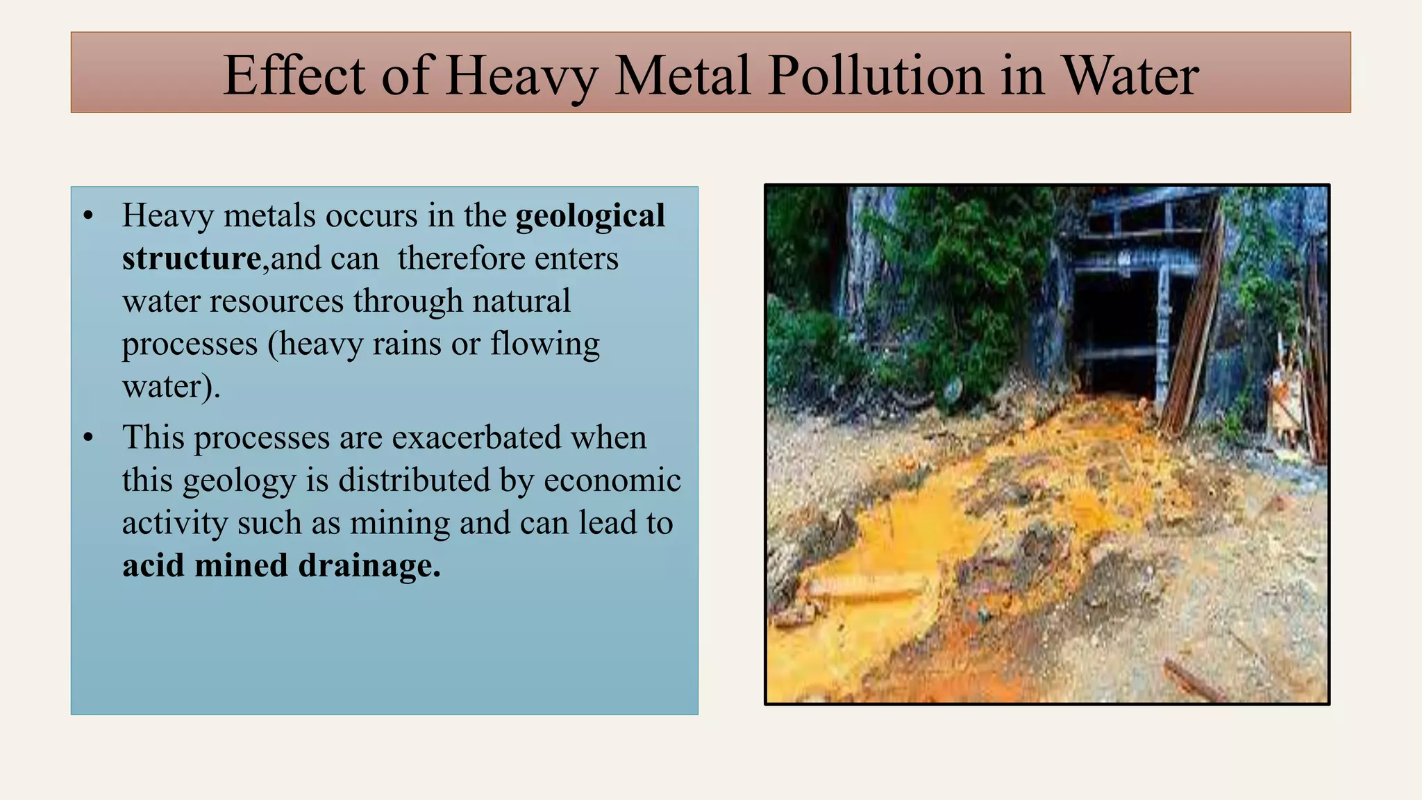 HEAVY METAL POLLUTION.pptx