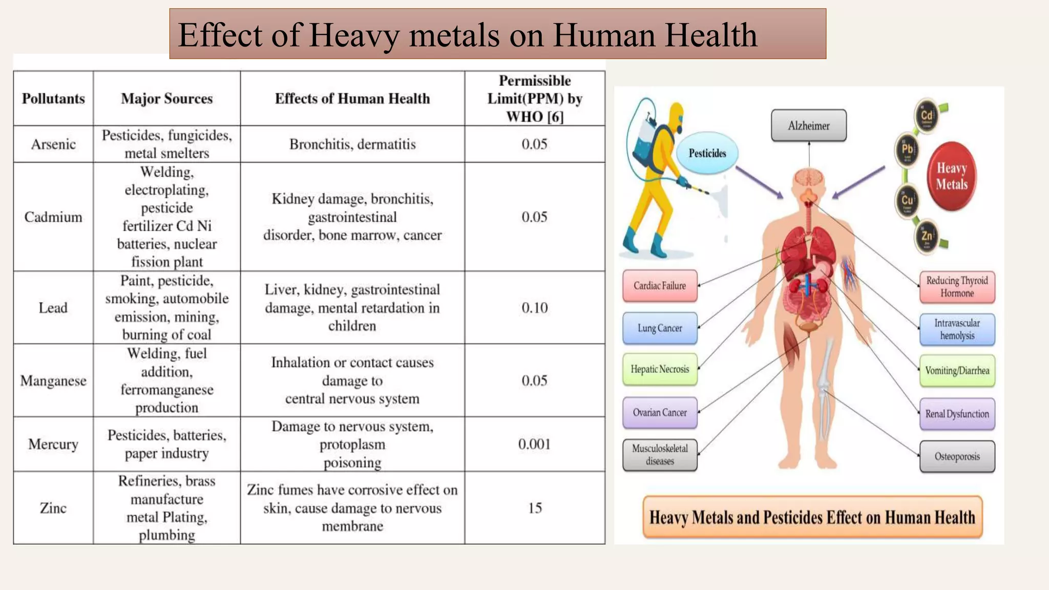 HEAVY METAL POLLUTION.pptx