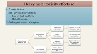 HEAVY METAL POLLUTION.pptx