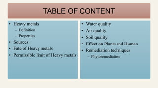 HEAVY METAL POLLUTION.pptx