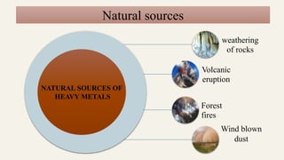 HEAVY METAL POLLUTION.pptx