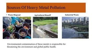 Heavy metal pollution.pptx