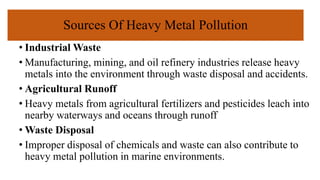 Heavy metal pollution.pptx
