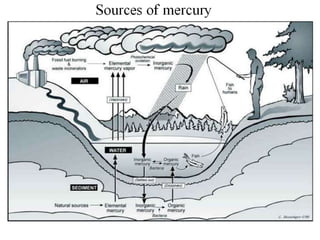 Common Heavy Metal Contaminations and Its Hazard | PPTX