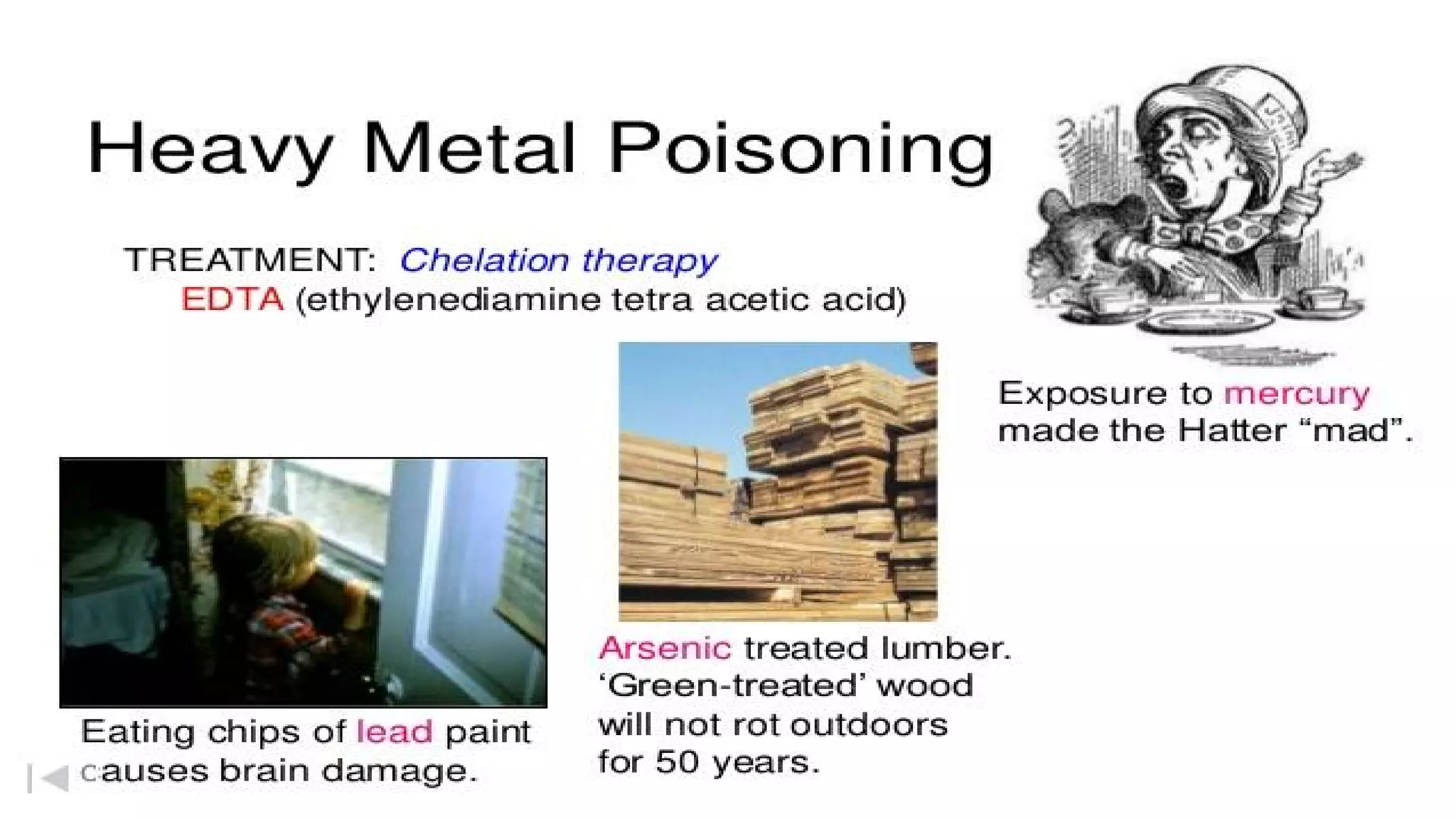 Heavy Metal Poisoning | PDF