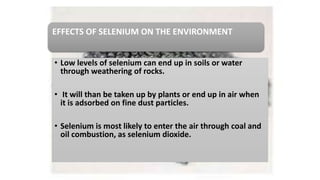 HEAVY METALS AND THEIR EFFECTS | PPTX