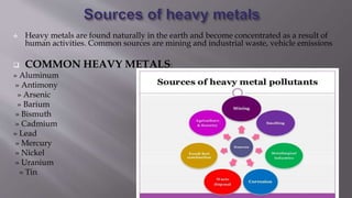 Heavy metals | PPTX