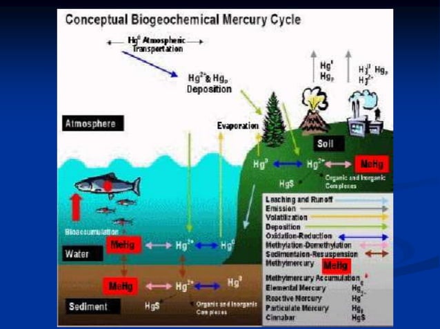 Heavy metals with their causes and effect.ppt