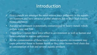 project presentation on Bioaccumulation of Heavy metals | PPTX