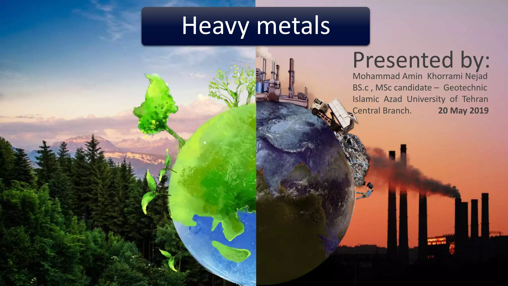 Heavy Metals - Mohammad Amin Khorrami Nejad | PPTX