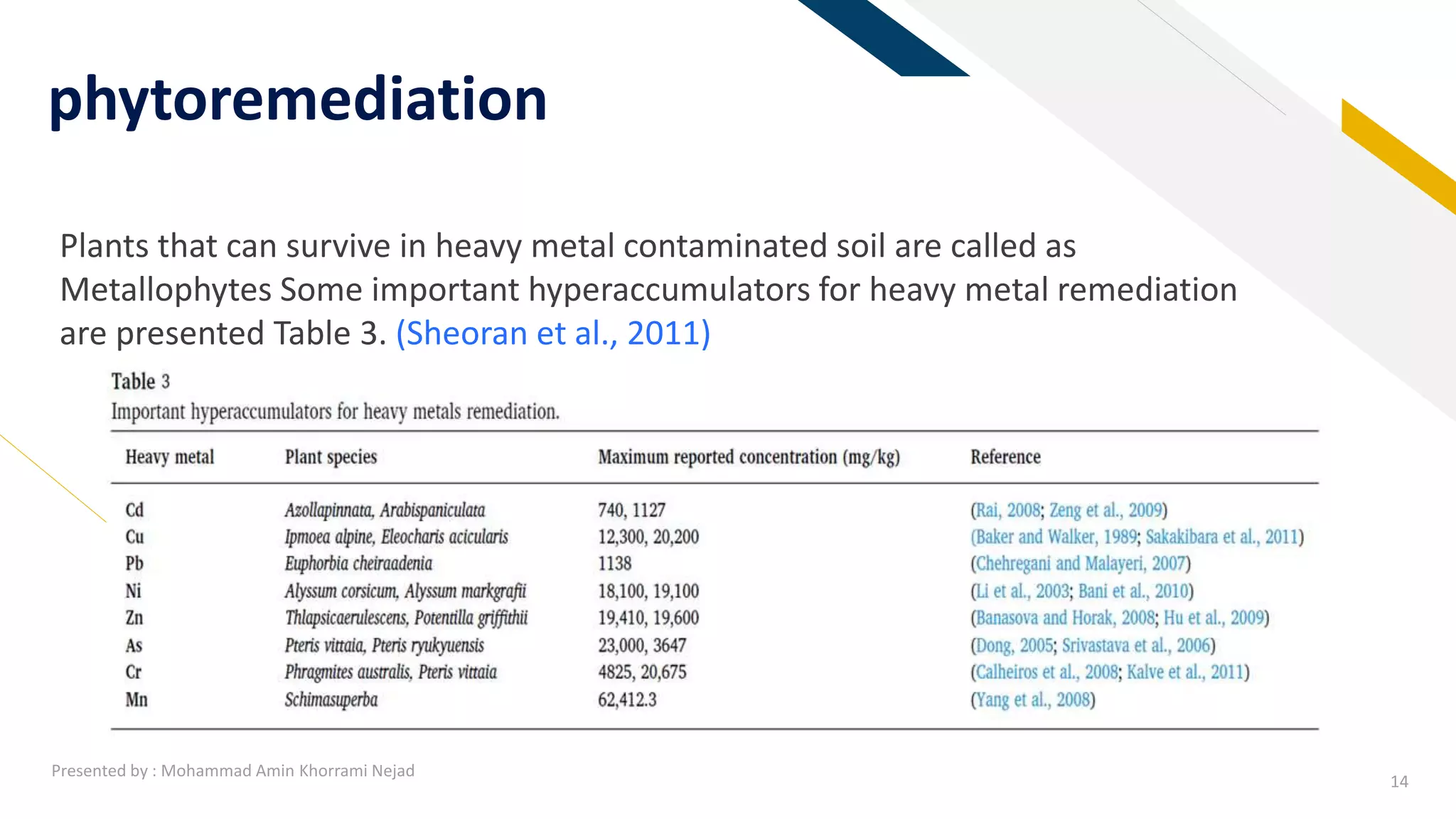 Heavy Metals - Mohammad Amin Khorrami Nejad | PPT