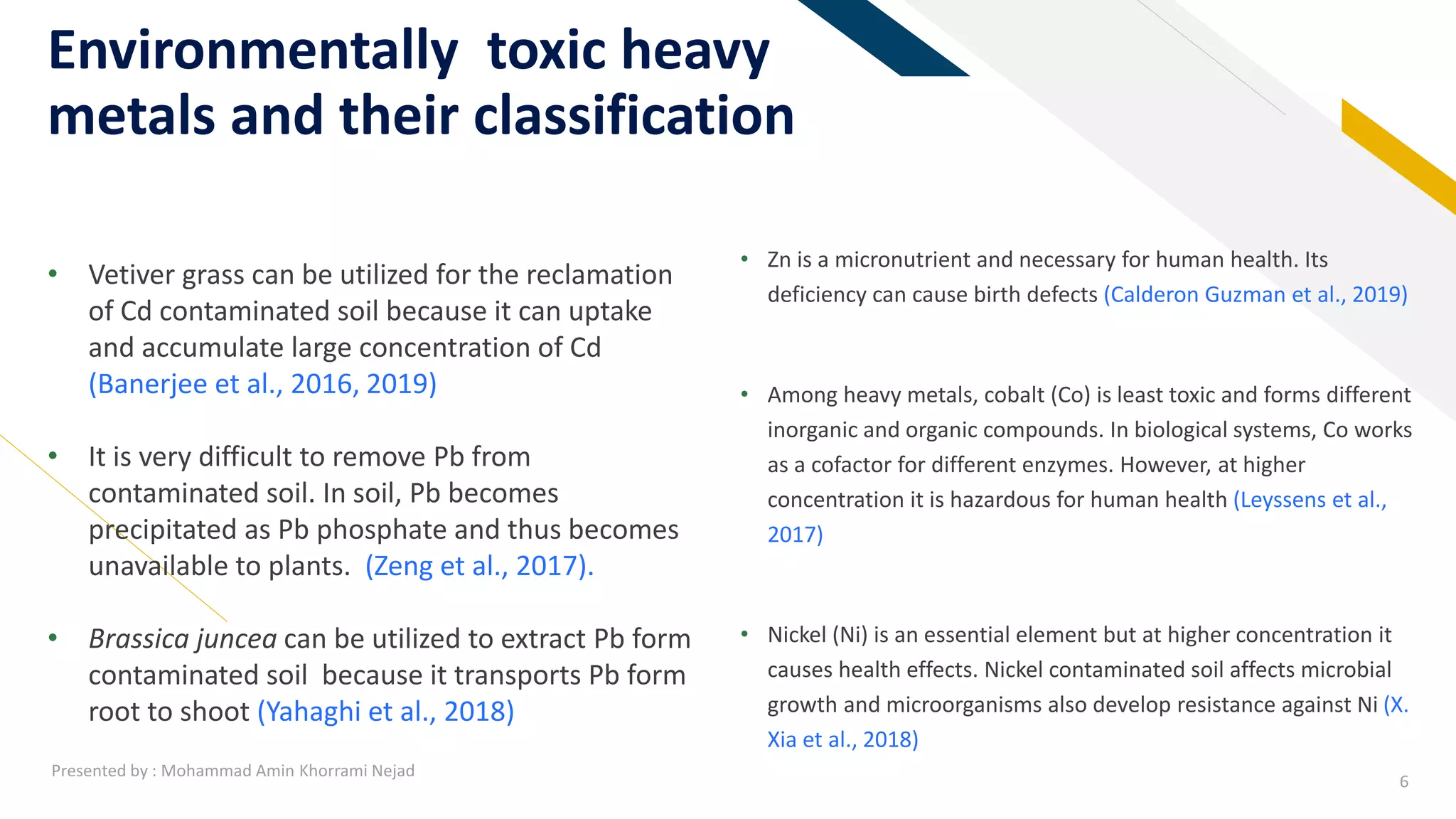 Heavy Metals - Mohammad Amin Khorrami Nejad | PPT