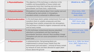 Heavy Metals - Mohammad Amin Khorrami Nejad | PPTX