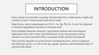 Heavy Metals and Petroleum Carbon 23PBYA113.pptx
