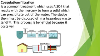 Heavy metals in drinking water | PPTX