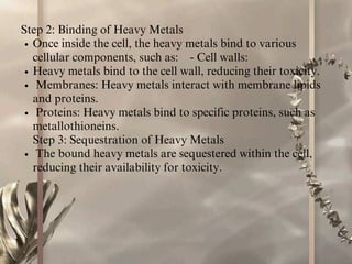 Heavy metals removed by bioaccumulation.pptx_20250128_084750_0000.pdf