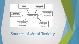 Heavy metal stress | PPTX
