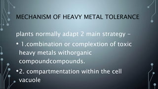 heavy metal stress in plants - SRIDHARSHINI S.pptx