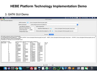 HEBE Platform Technology | PPT