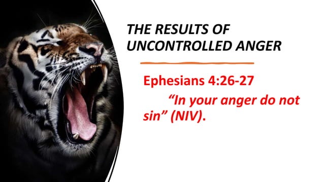 HEBREWS 12 MAY 5.pptx bbbbbbbbbbbbbbbbbbbbbbbbbbbbbbbb | PPT