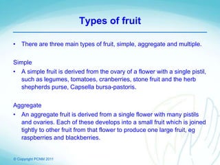 Botany session 5 | PPT