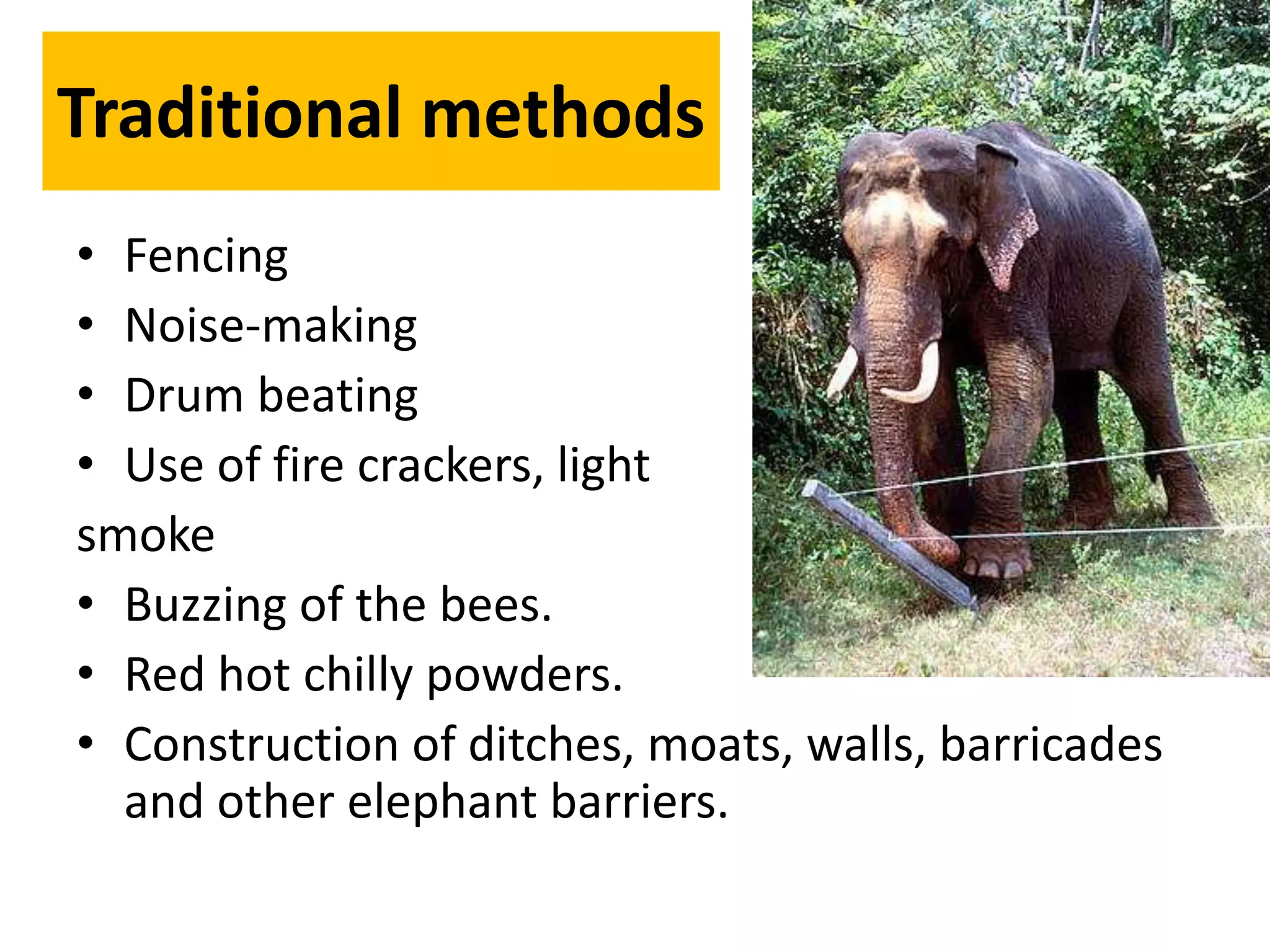 Strategies adopted to mitigate Human–Elephant Conflict (HEC) in and ...