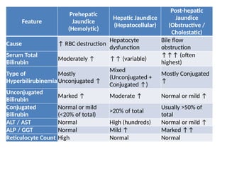 Hepato enteric circulation and jaundice types .pptx
