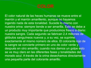 Heces | PPSX