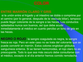 Heces | PPSX