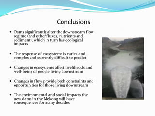 The Influence of Dams on Downstream Flows and the Potential Effects on ...