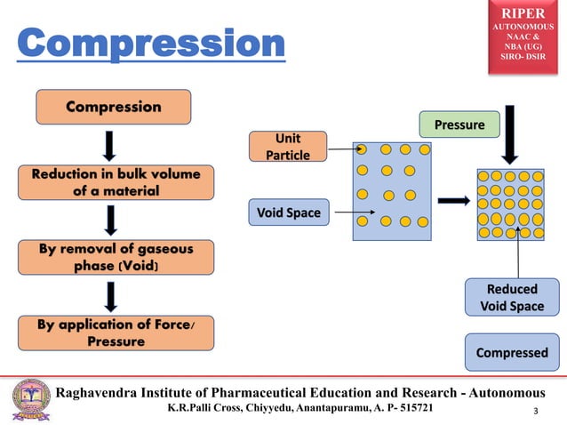 Heckel Plots for Tablet Compression | PPTX | Physics | Science