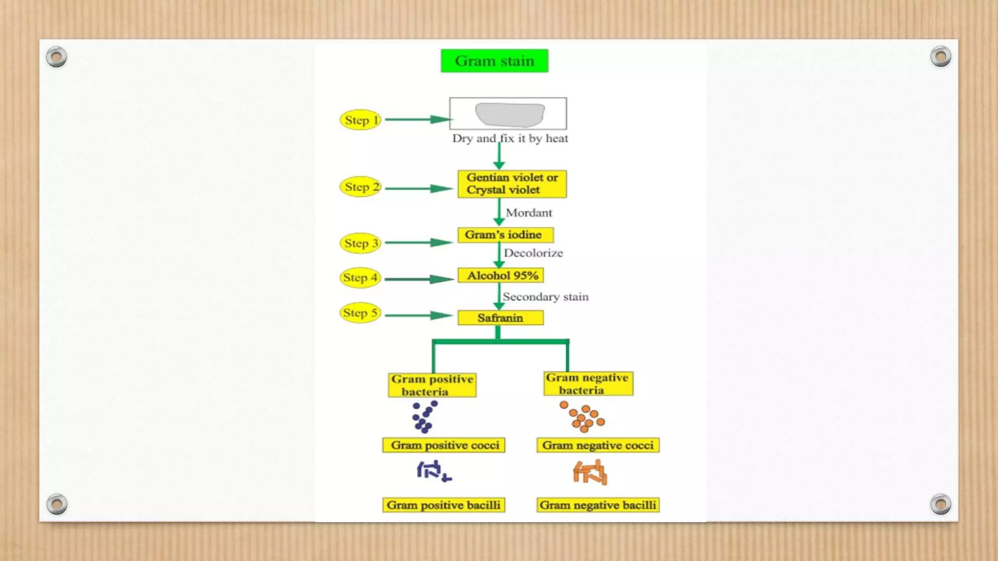 Fundamental Principal of Microbiology | PDF