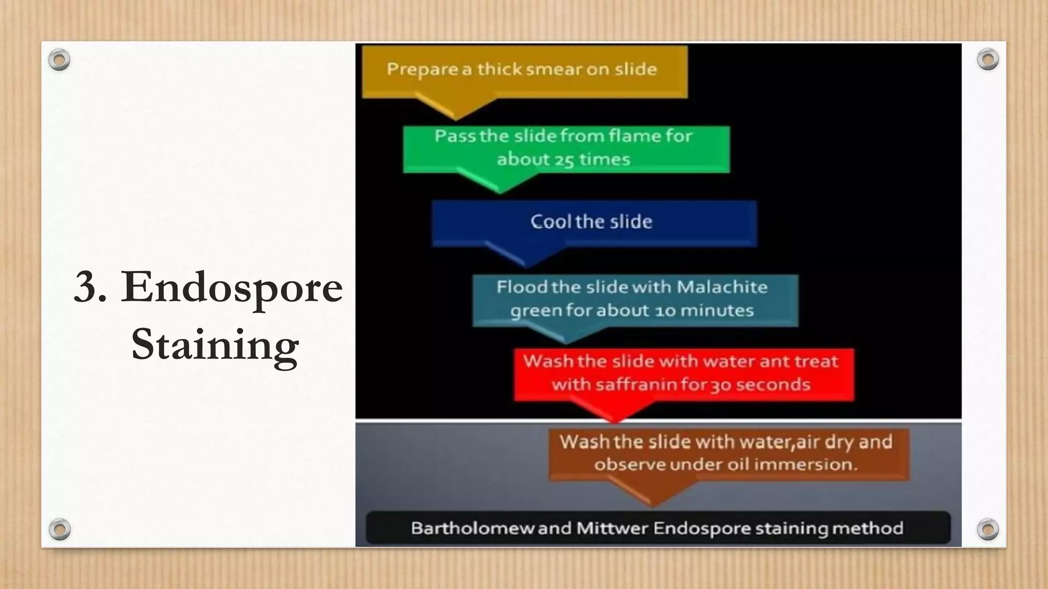 Fundamental Principal of Microbiology | PDF