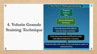 Fundamental Principal of Microbiology | PDF